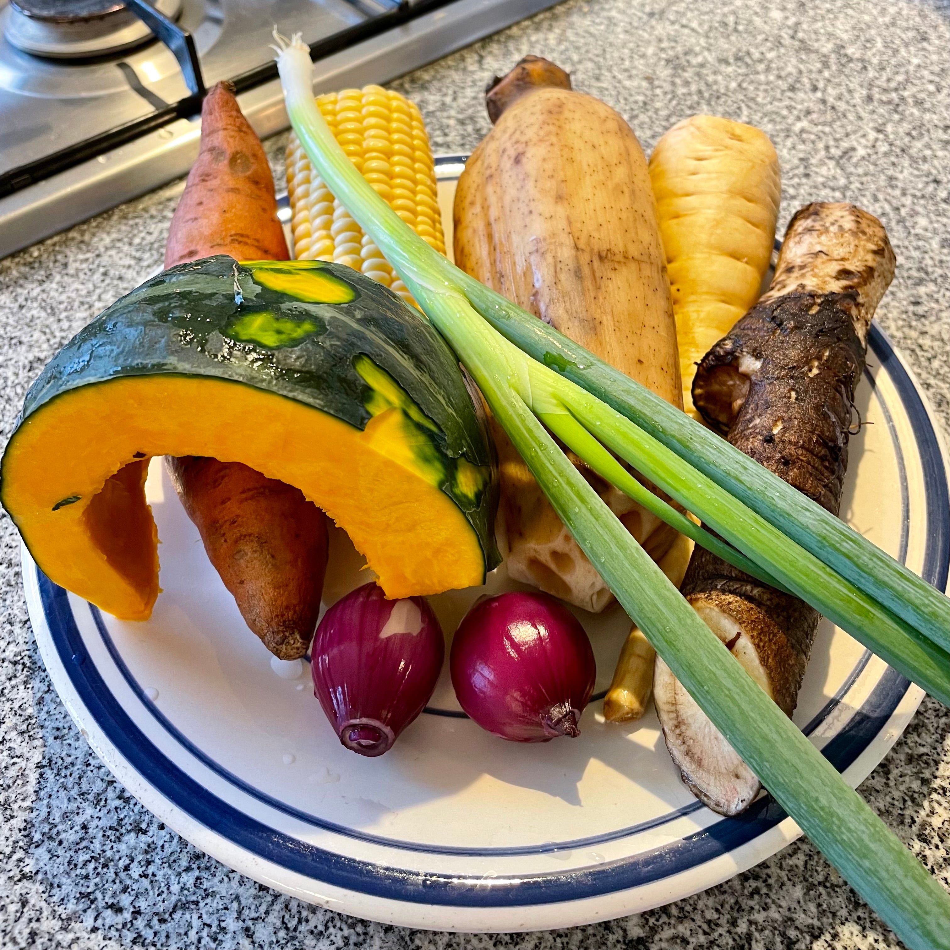 WARMING HOTO UDON SOUP – Tampopo Foods